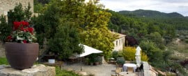 Hotels managed by the owners or part of a chain: Is there a difference ...